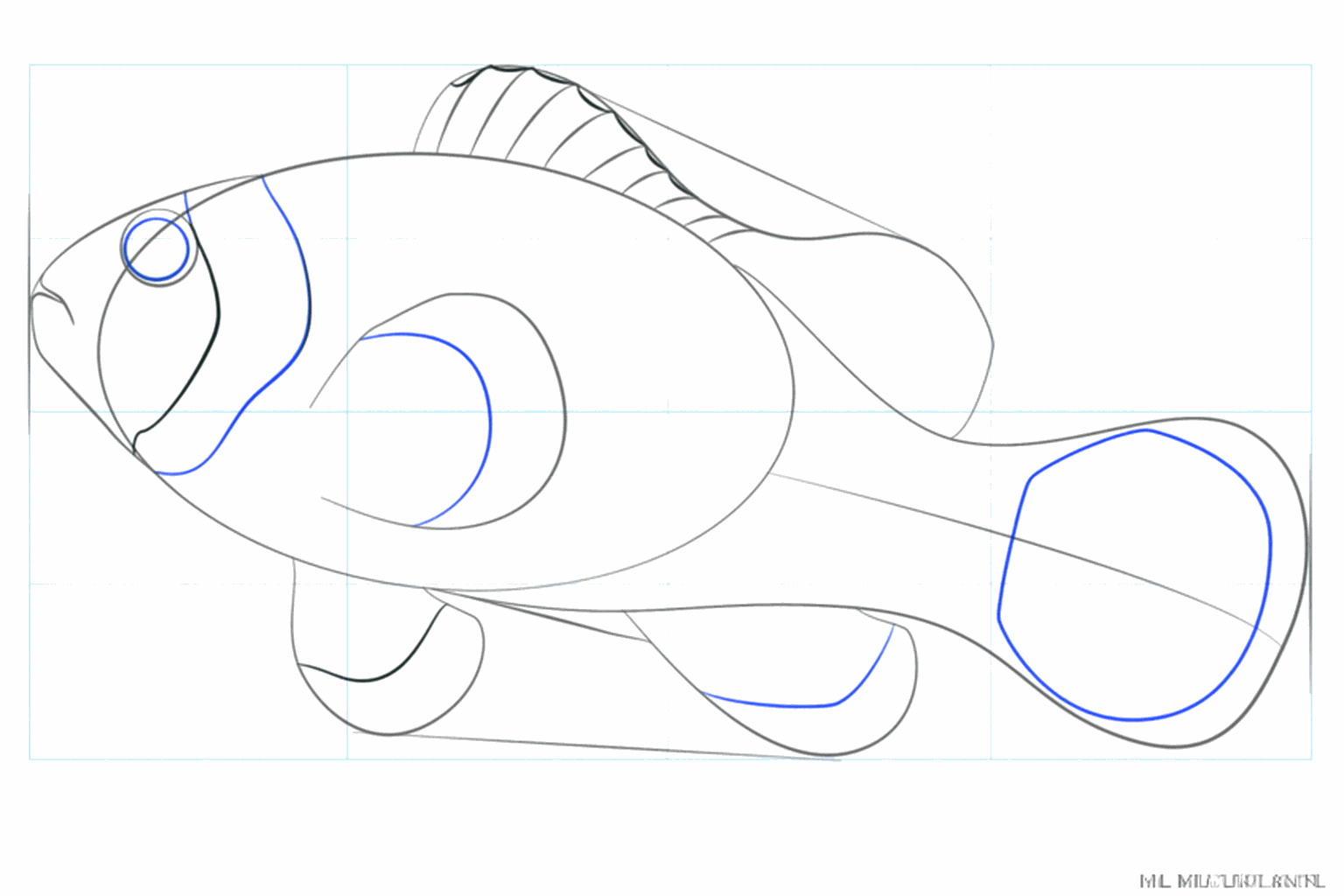 Drawing a clownfish: Easy step-by-step drawing lesson for kids