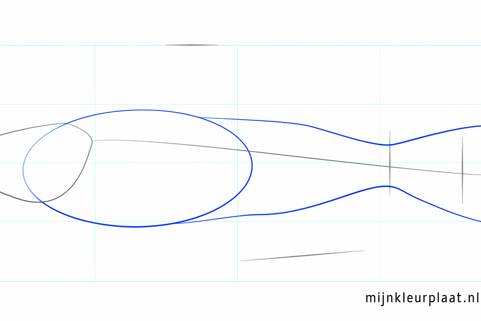 Drawing a catfish: Step-by-step drawing lesson for kids