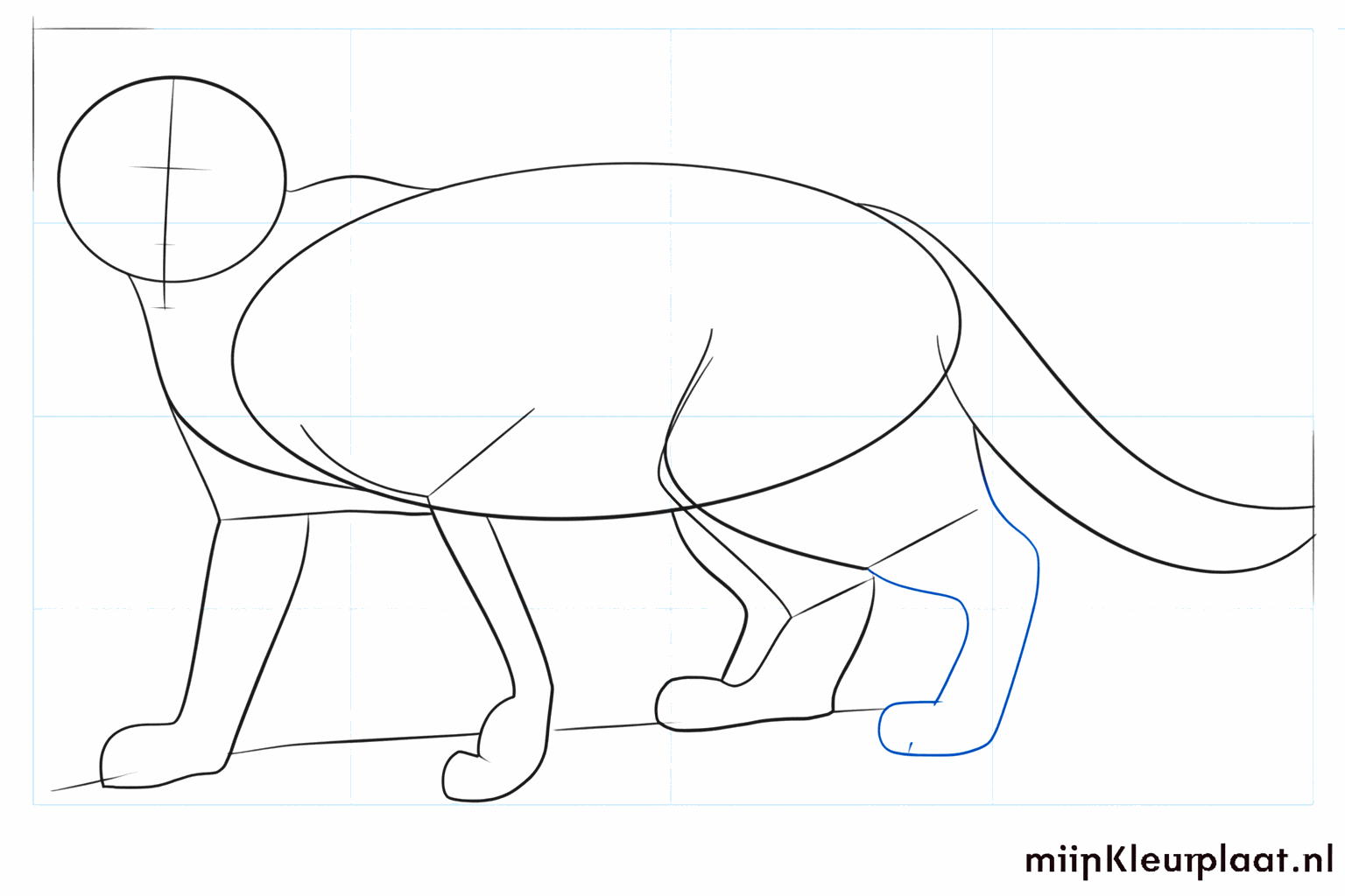 Drawing a baby cougar: Step-by-step drawing lesson for kids