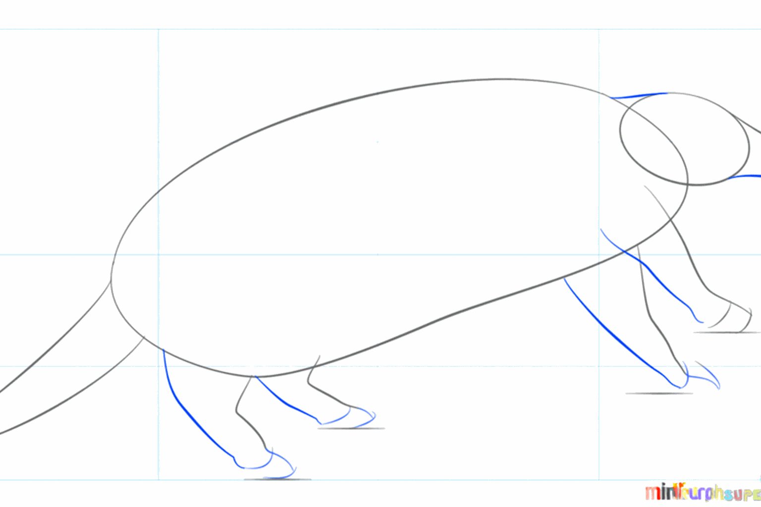 Drawing an armadillo: Step-by-step drawing lesson for kids