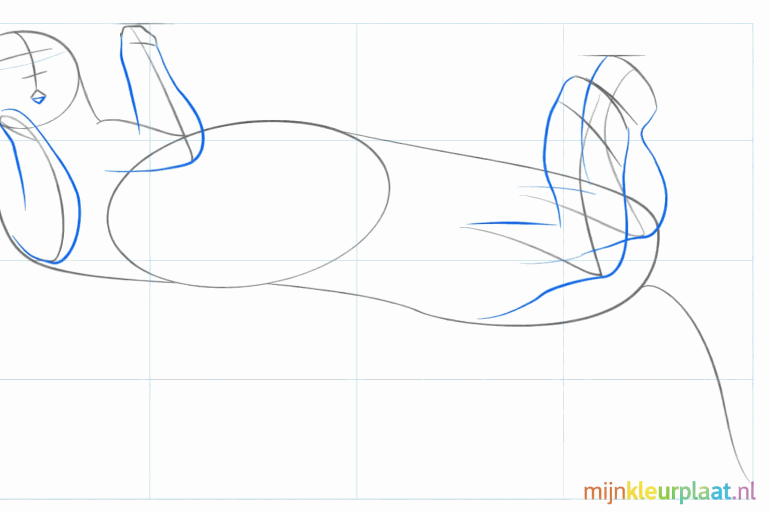 Drawing a sea otter: Step-by-step drawing lesson for kids