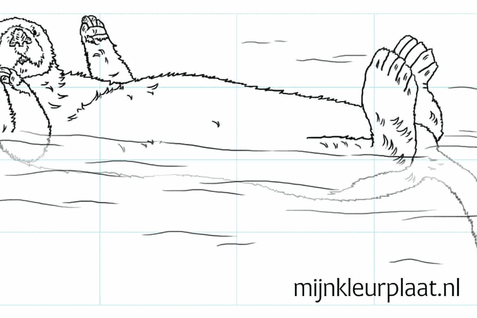 Drawing a sea otter: Step-by-step drawing lesson for kids