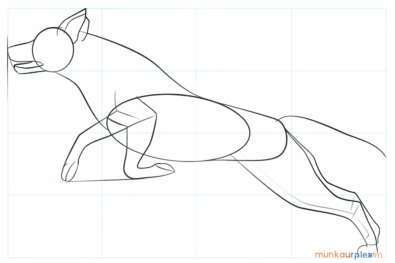 Drawing a Labrador: Step-by-step drawing lesson for kids