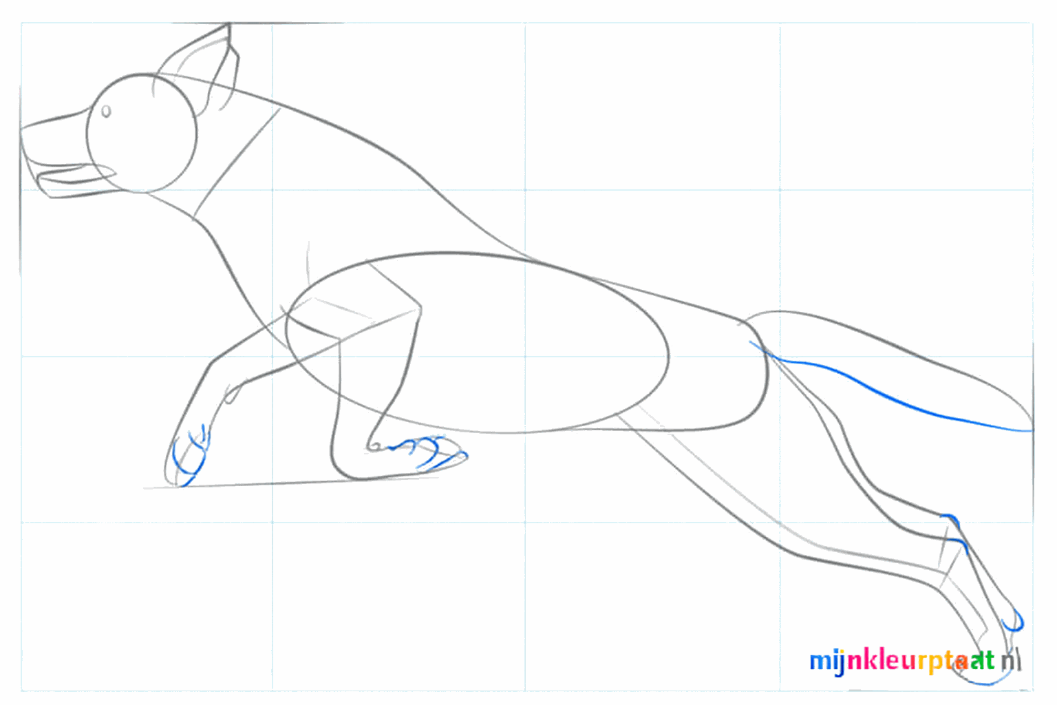 Drawing a Labrador: Step-by-step drawing lesson for kids